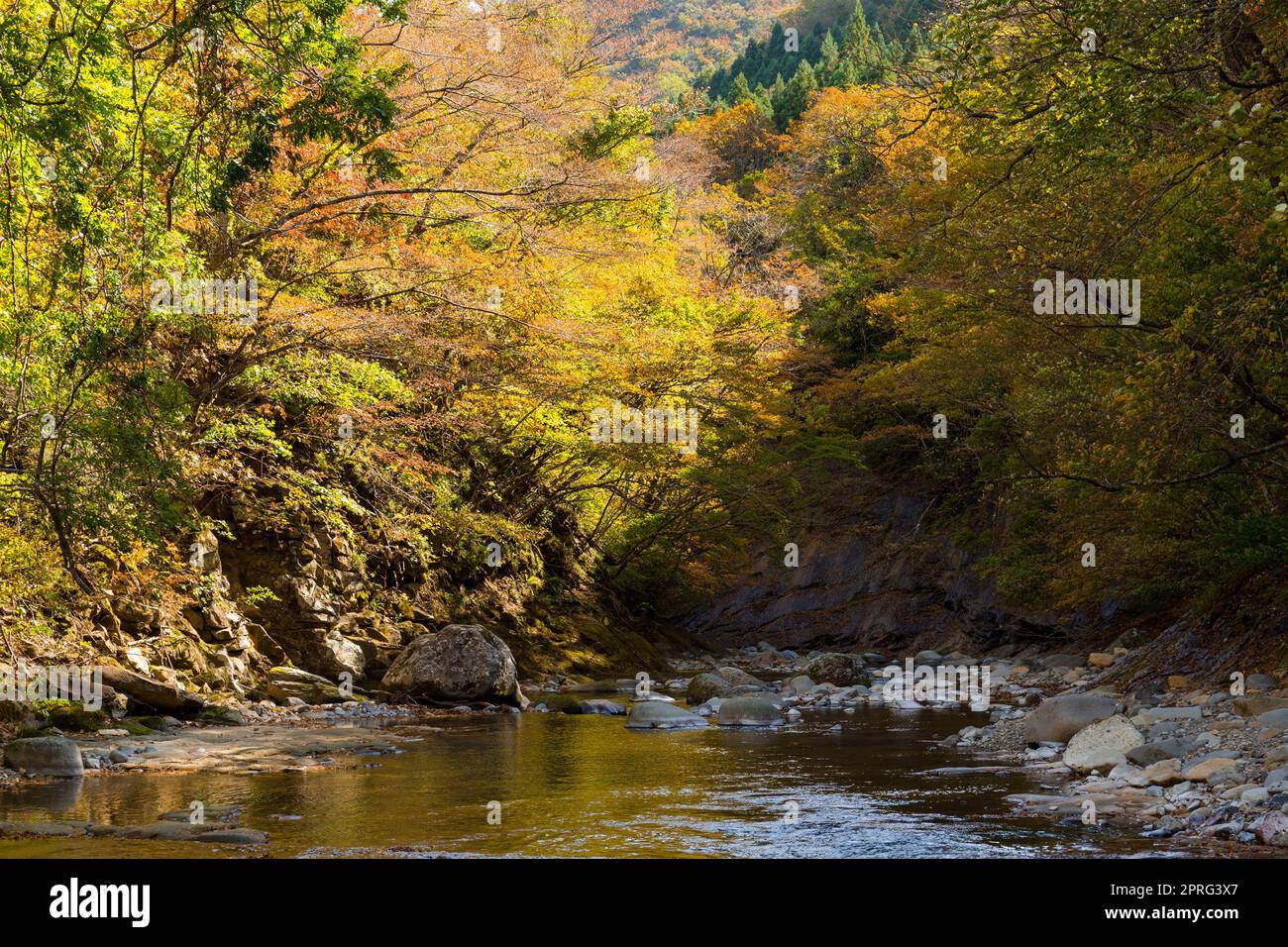 Silent river hi-res stock photography and images - Alamy