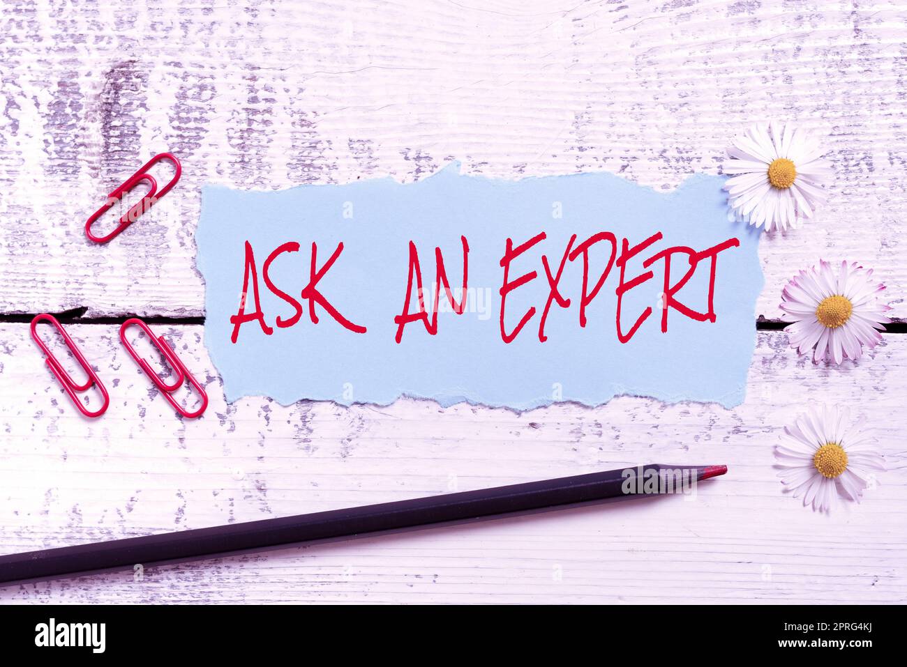 Text sign showing Ask An Expert. Business showcase Asking for advice to ...