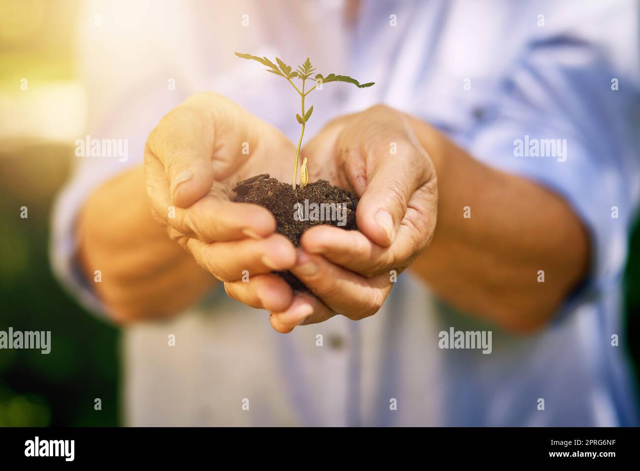 Gifted Hands Wallpaper