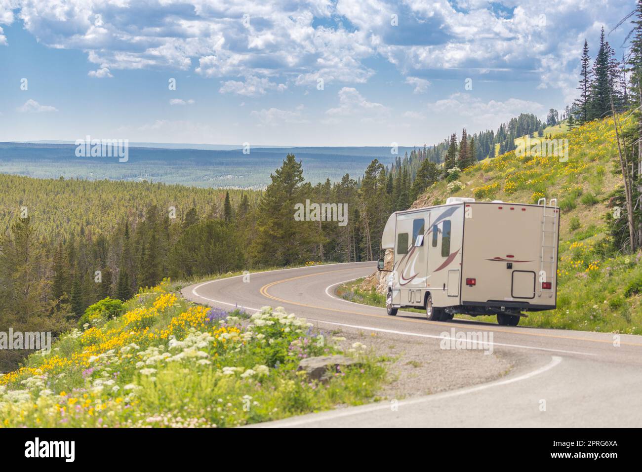 Camper Driving Down Road in The Beautiful Countryside Among Pine Trees ...