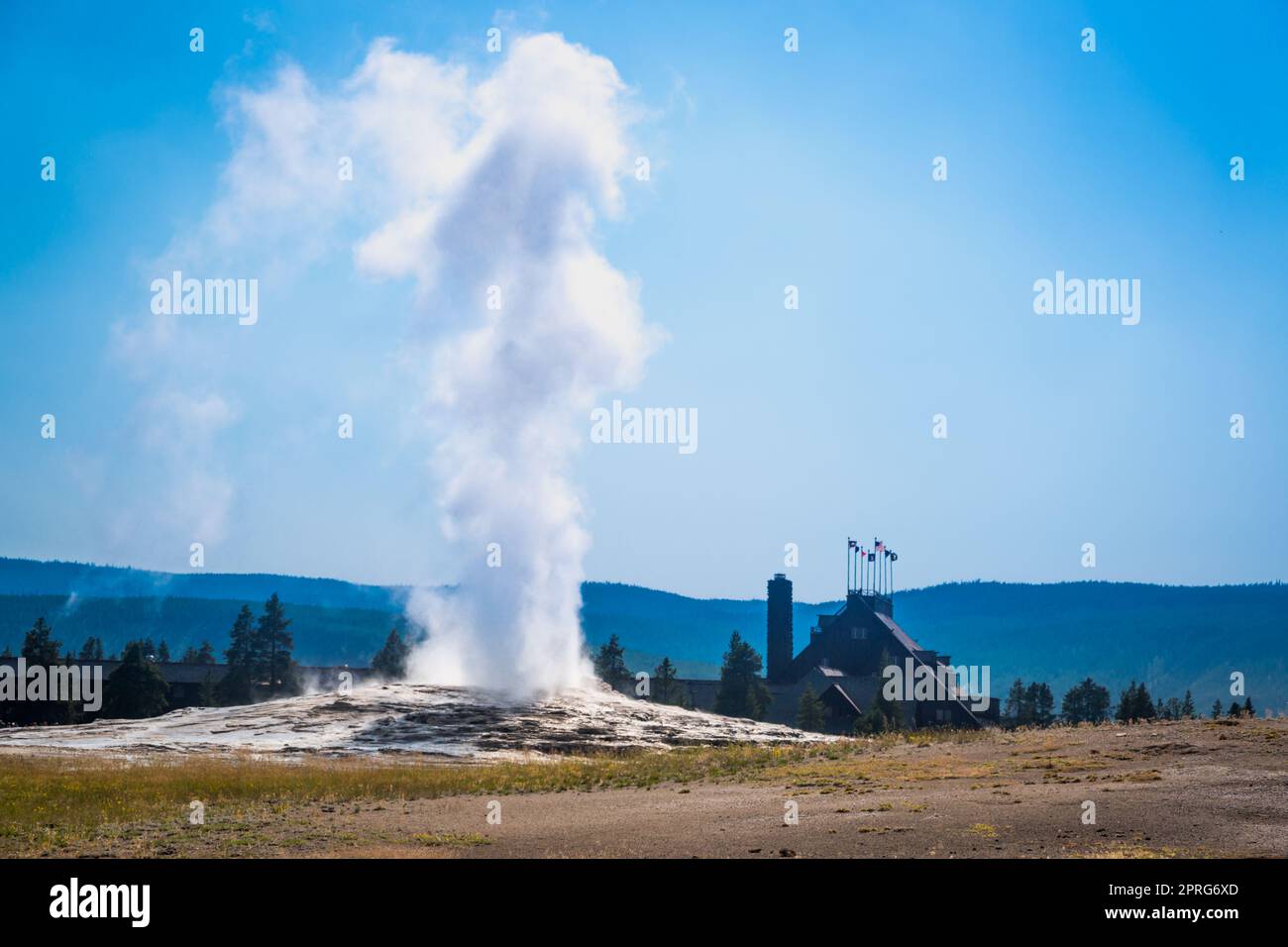 Old Faithful Geyser Erupting at Yellowstone National Park Stock Photo ...