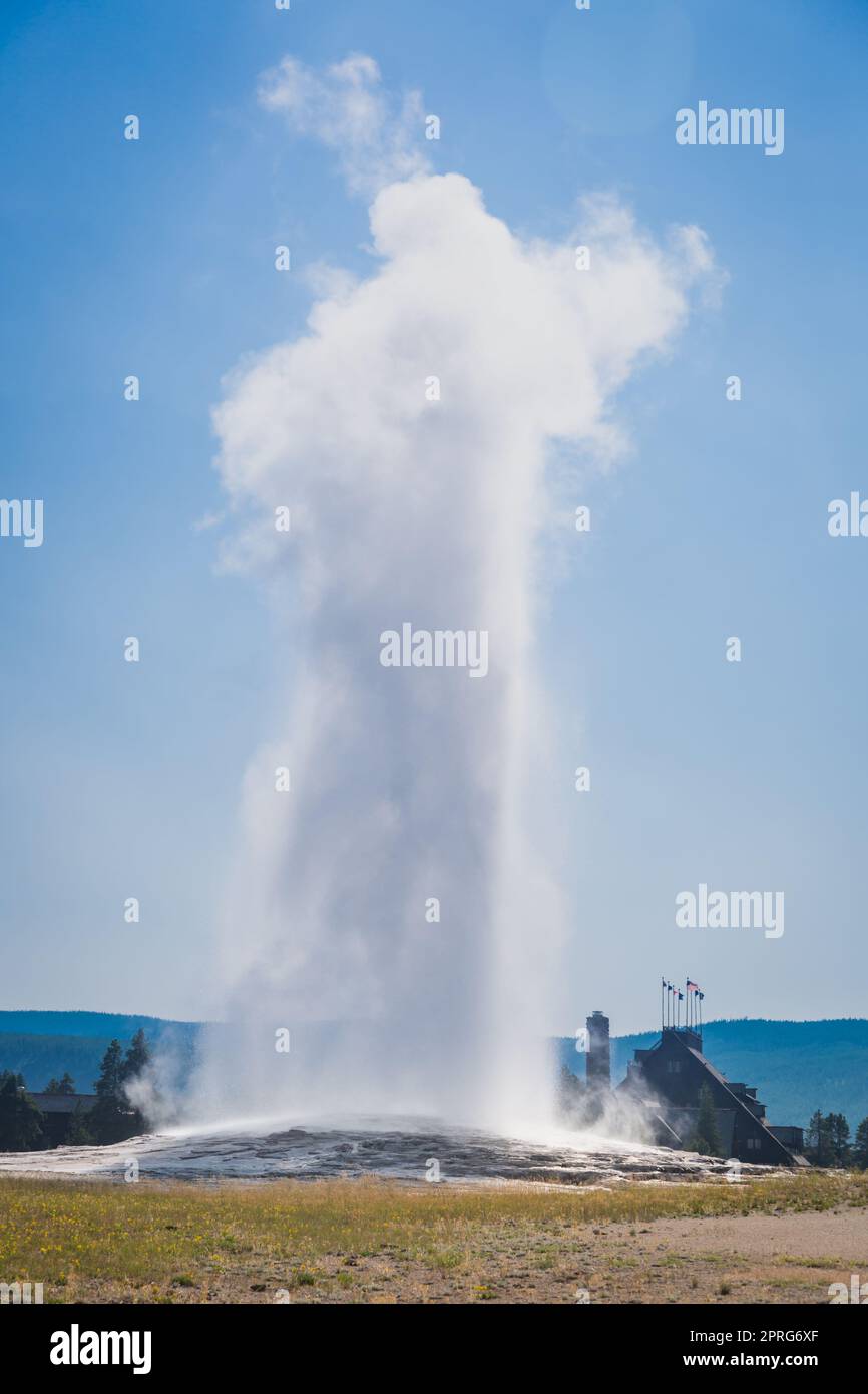 Old Faithful Geyser Erupting at Yellowstone National Park Stock Photo ...