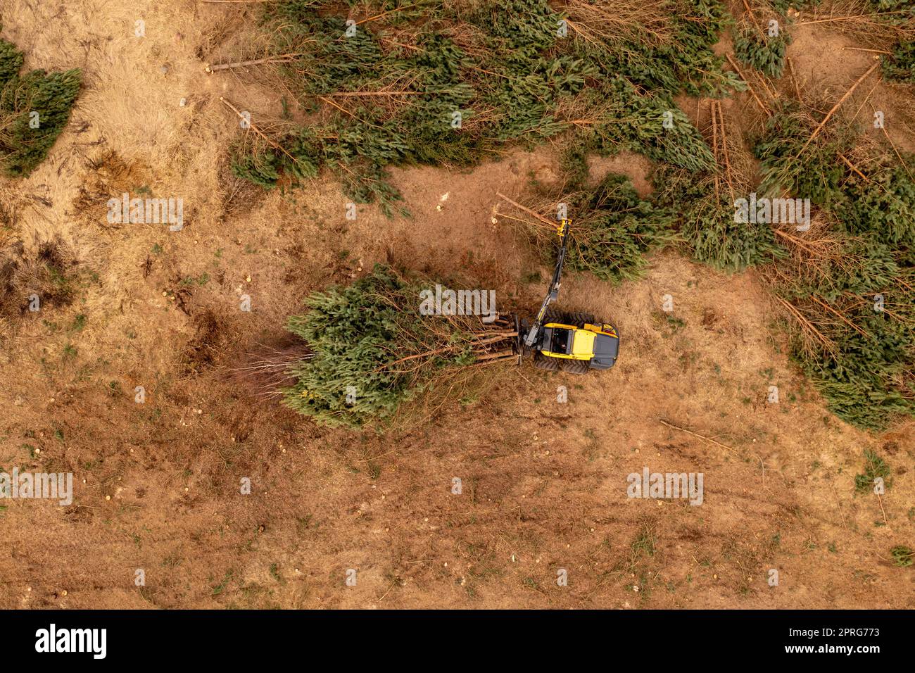 Drone photography of forestry machine piking up small trees and ...
