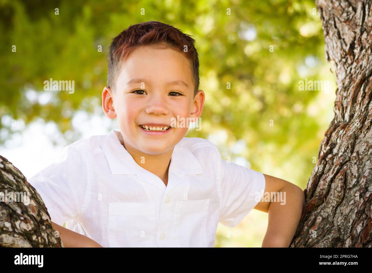Outdoor portrait of a biracial Chinese and Caucasian boy Stock Photo ...
