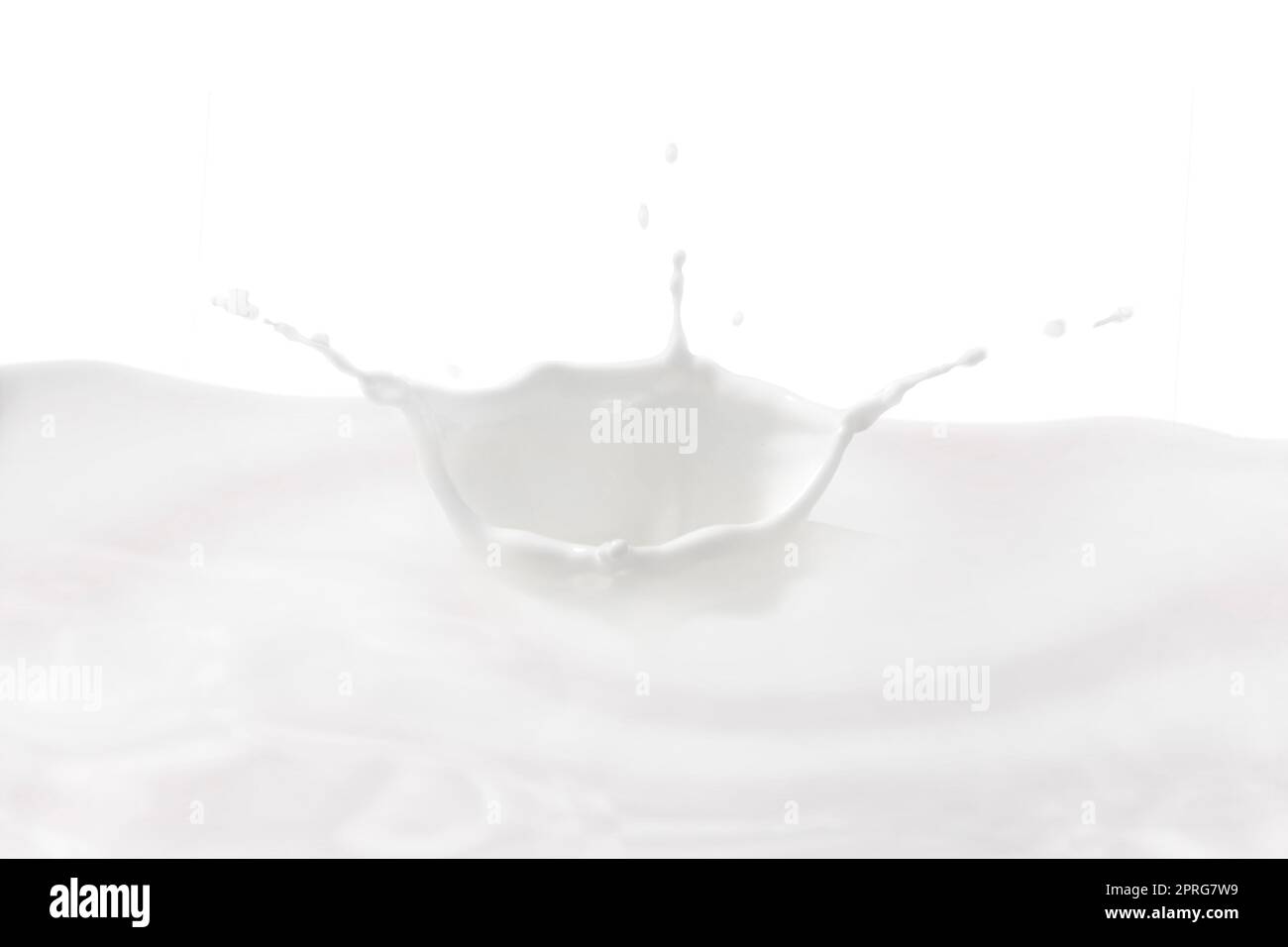 Milk crown splash, splashing in milk pool with white background Stock ...