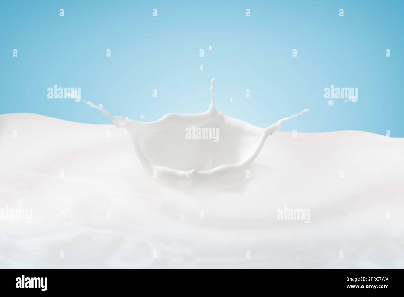 Milk crown splash, splashing in milk pool with blue background Stock ...
