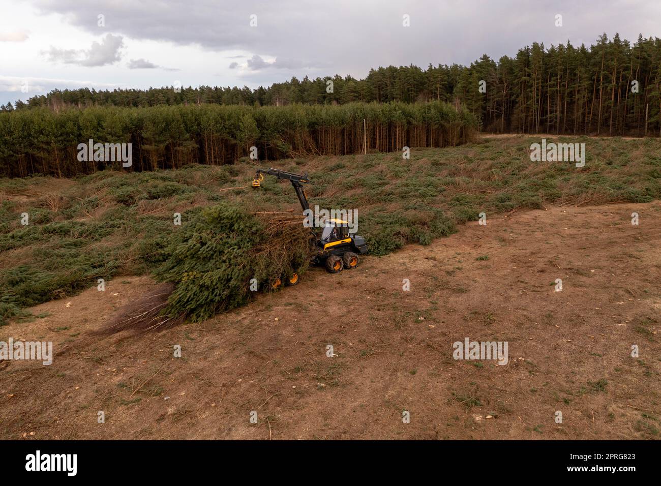 Drone photography of forestry machine piking up small trees and ...