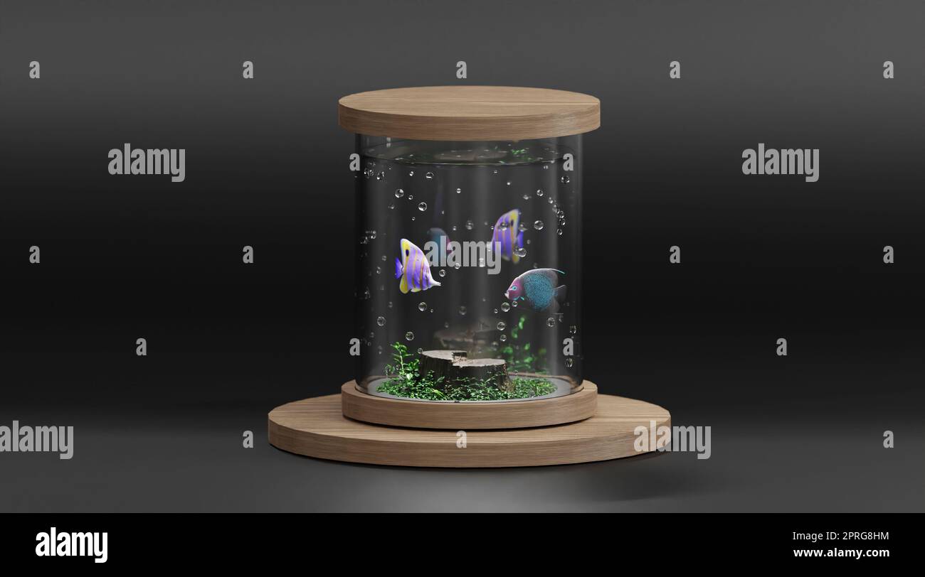 3d render of fish aquarium Stock Photo - Alamy