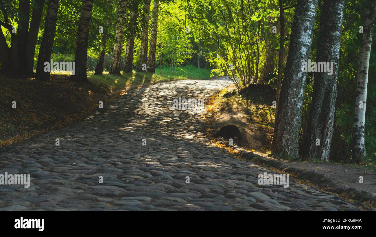Stone paved path in the park. forest landscape. cobblestone walkway ...