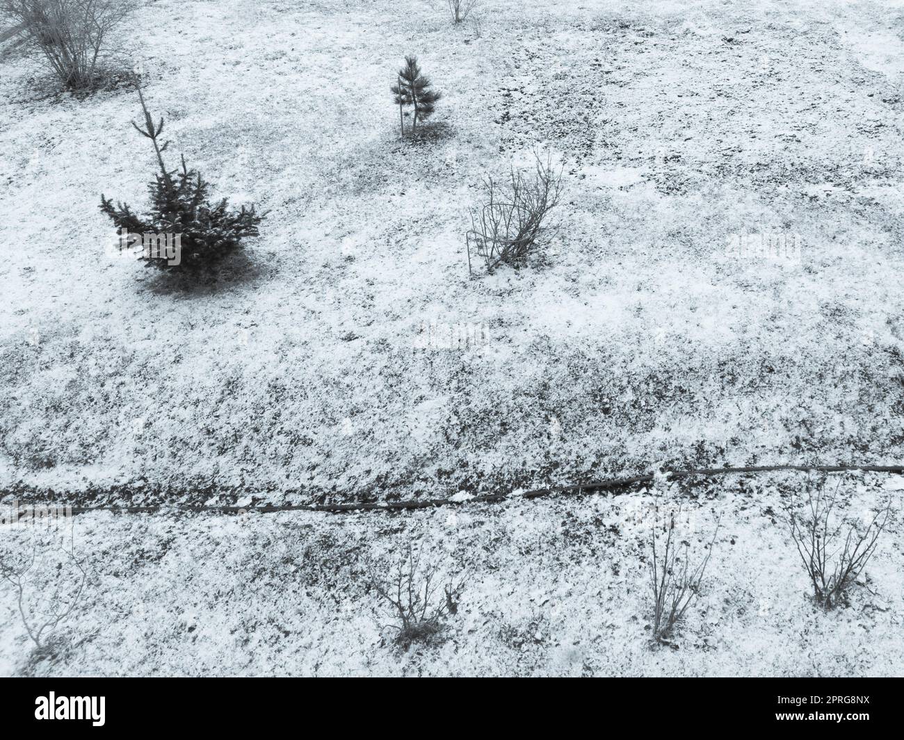 First snow covers the ground on the yard Stock Photo - Alamy