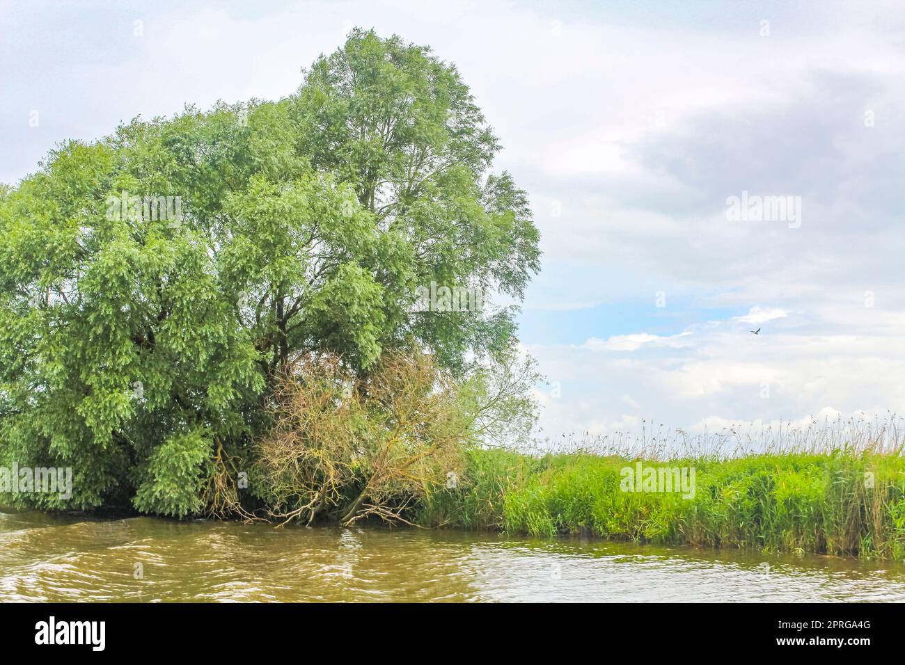 Beautiful natural landscape view panorama forest Oste river water ...