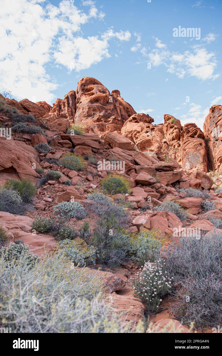 Red desert hi-res stock photography and images - Alamy