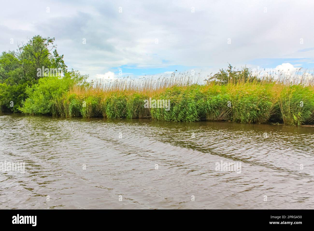 Beautiful natural landscape view panorama forest Oste river water ...