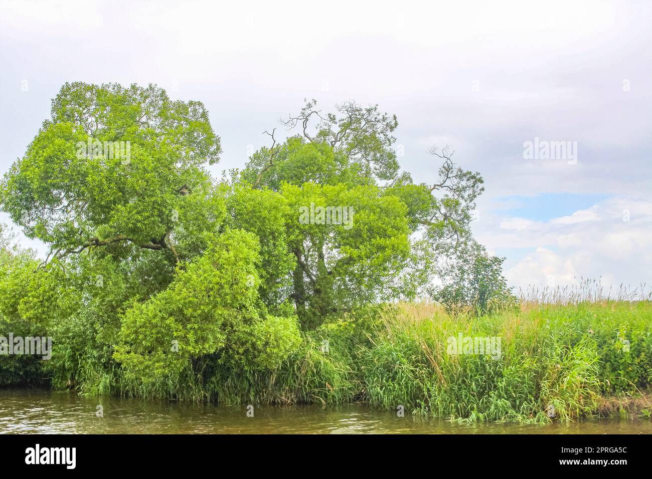 Beautiful natural landscape view panorama forest Oste river water ...