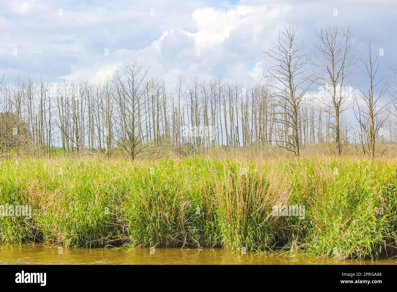 Beautiful natural landscape view panorama forest Oste river water ...