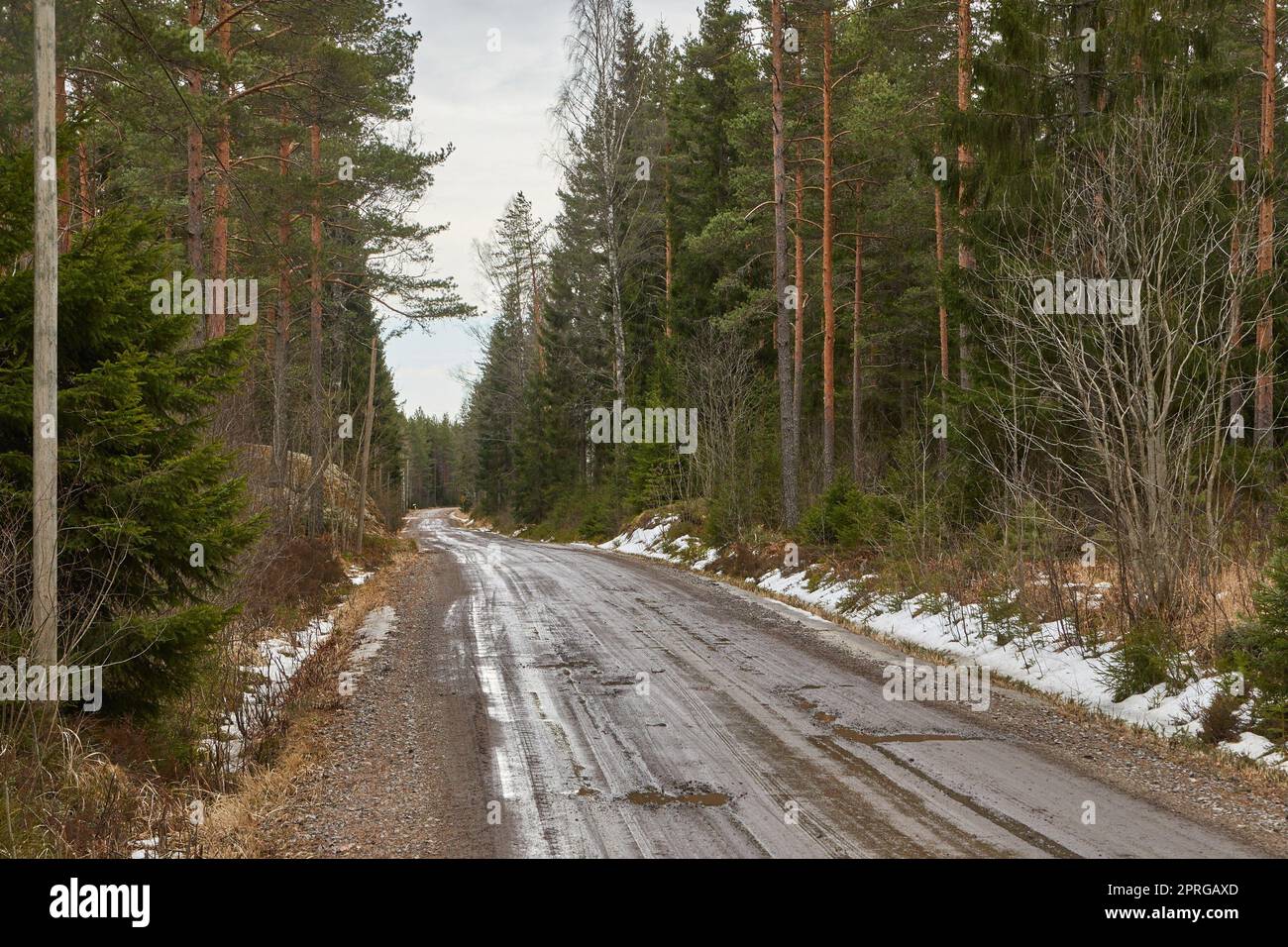 Muddy dirtroad hi-res stock photography and images - Alamy