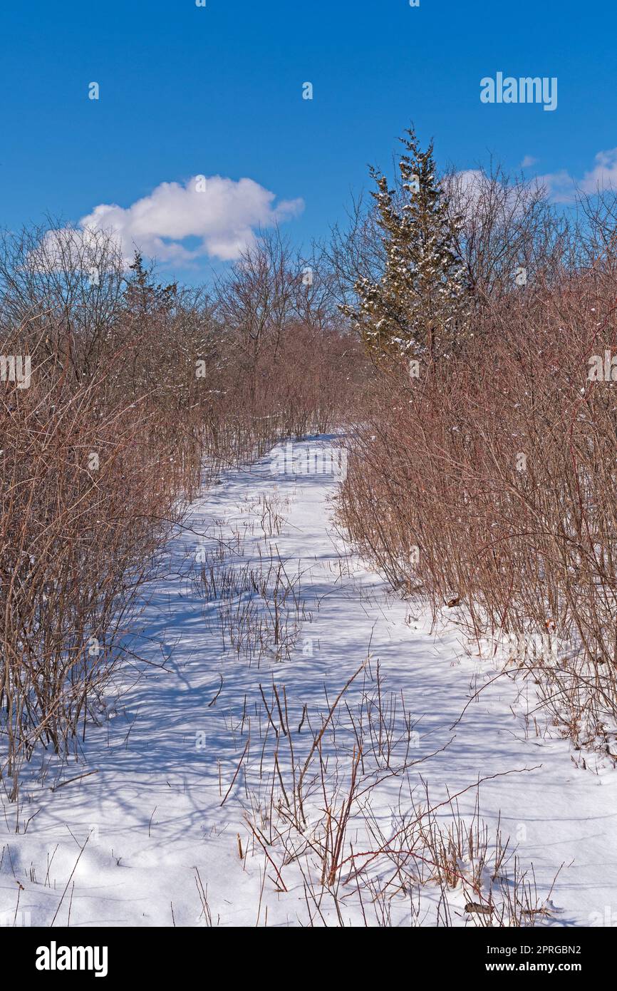 Fresh Snow on a Hidden Trail in the Crabtree Nature Preserve in ...