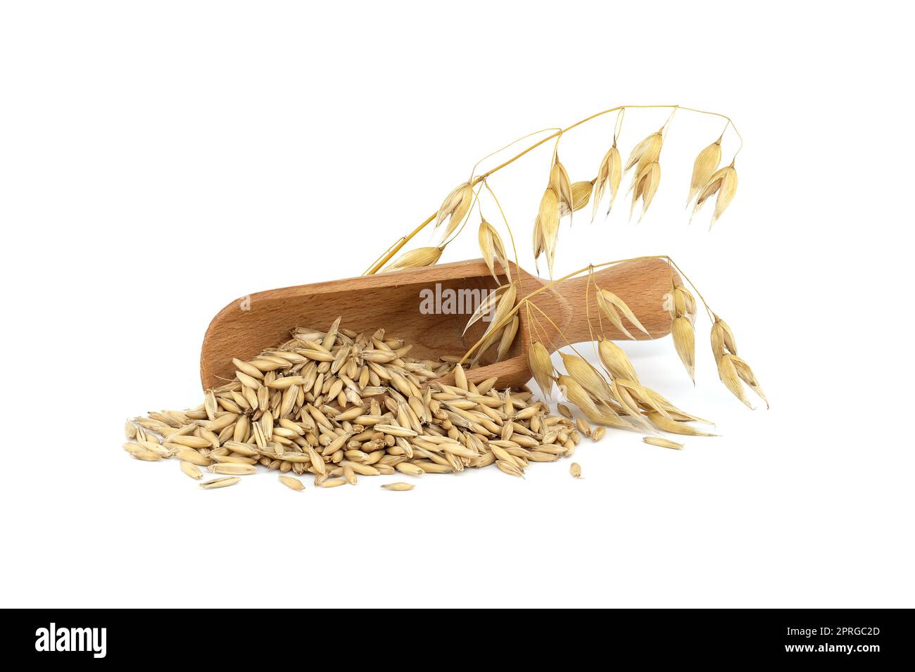 Whole oats grains with husk in wooden scoop Stock Photo - Alamy