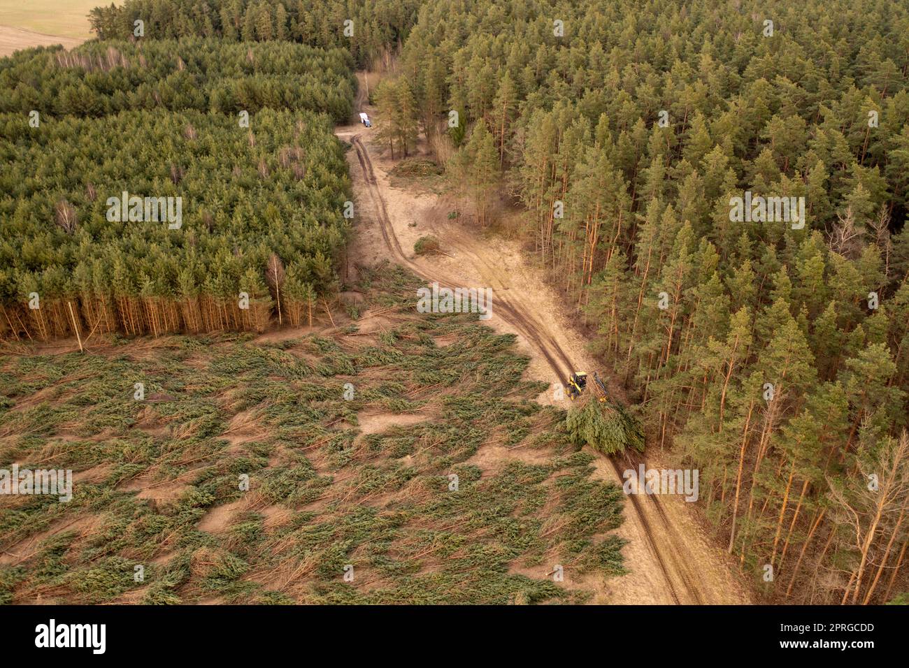 Drone photography of forestry machine piking up small trees and ...