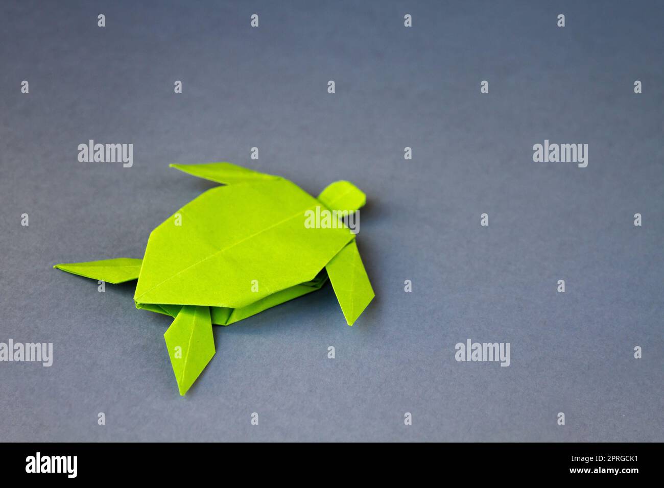 Green paper turtle origami isolated on a grey background Stock Photo ...