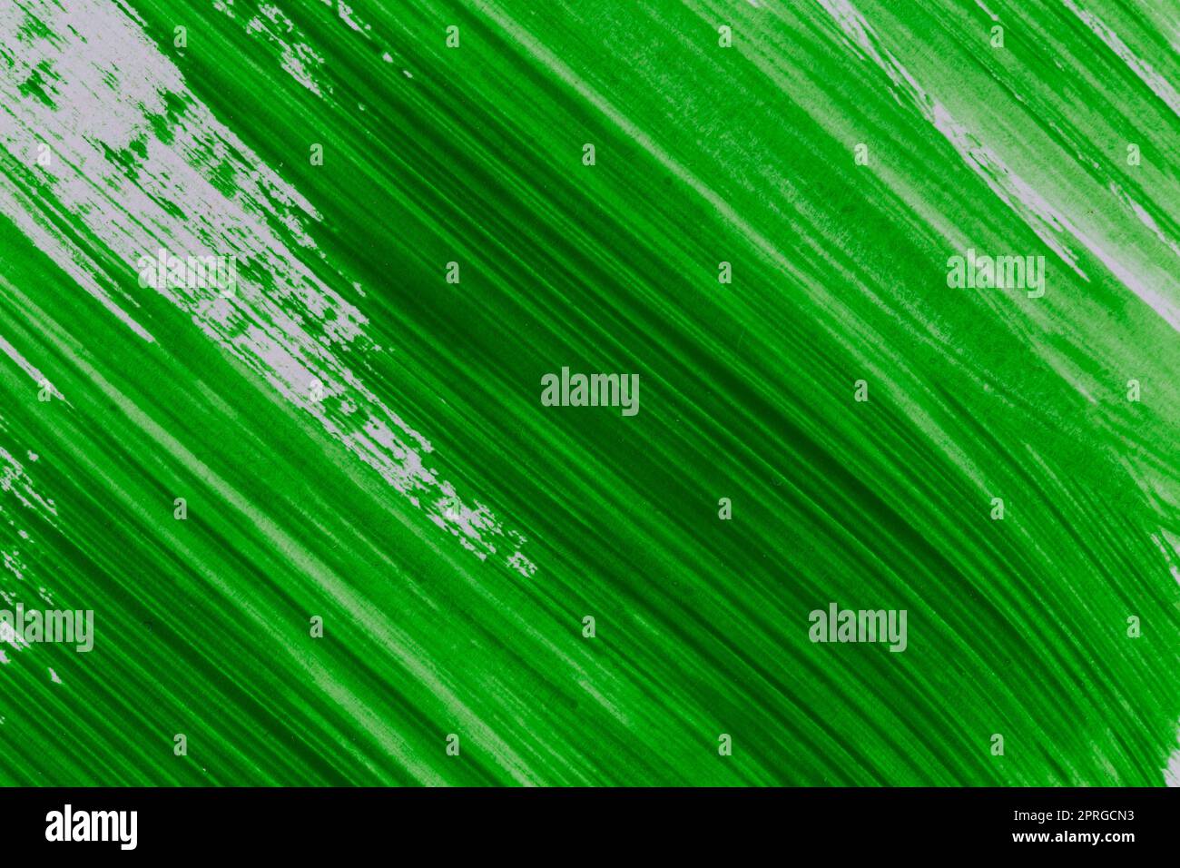 acrylic green paint texture background Stock Photo - Alamy