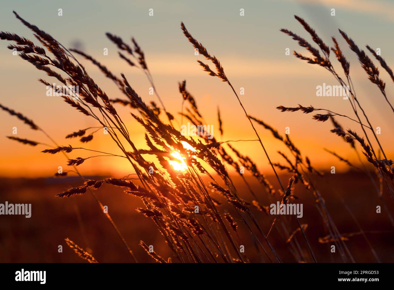 Wind sun hi-res stock photography and images - Alamy