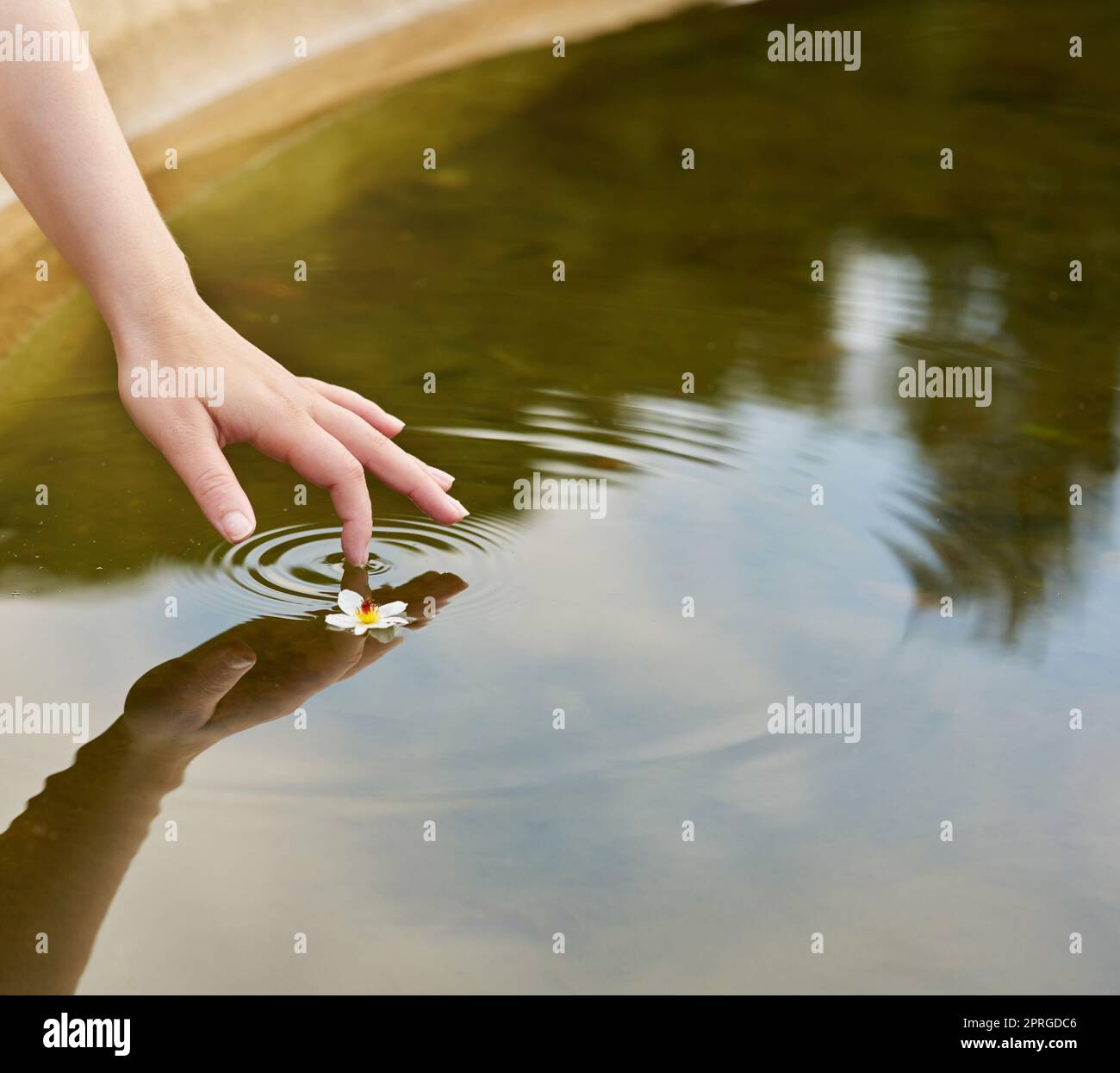 Hands touching water hi-res stock photography and images - Alamy