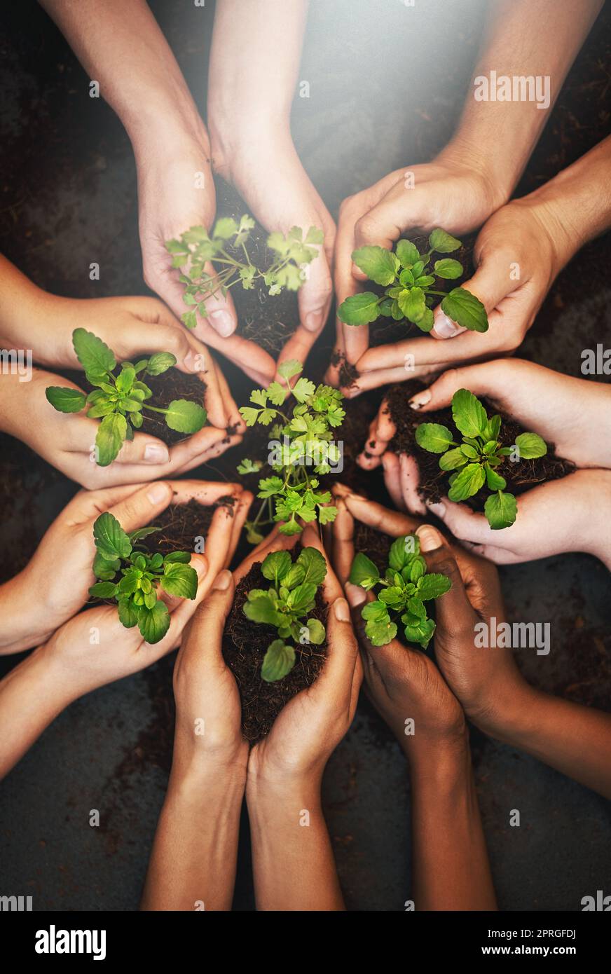 Place plants hi-res stock photography and images - Alamy