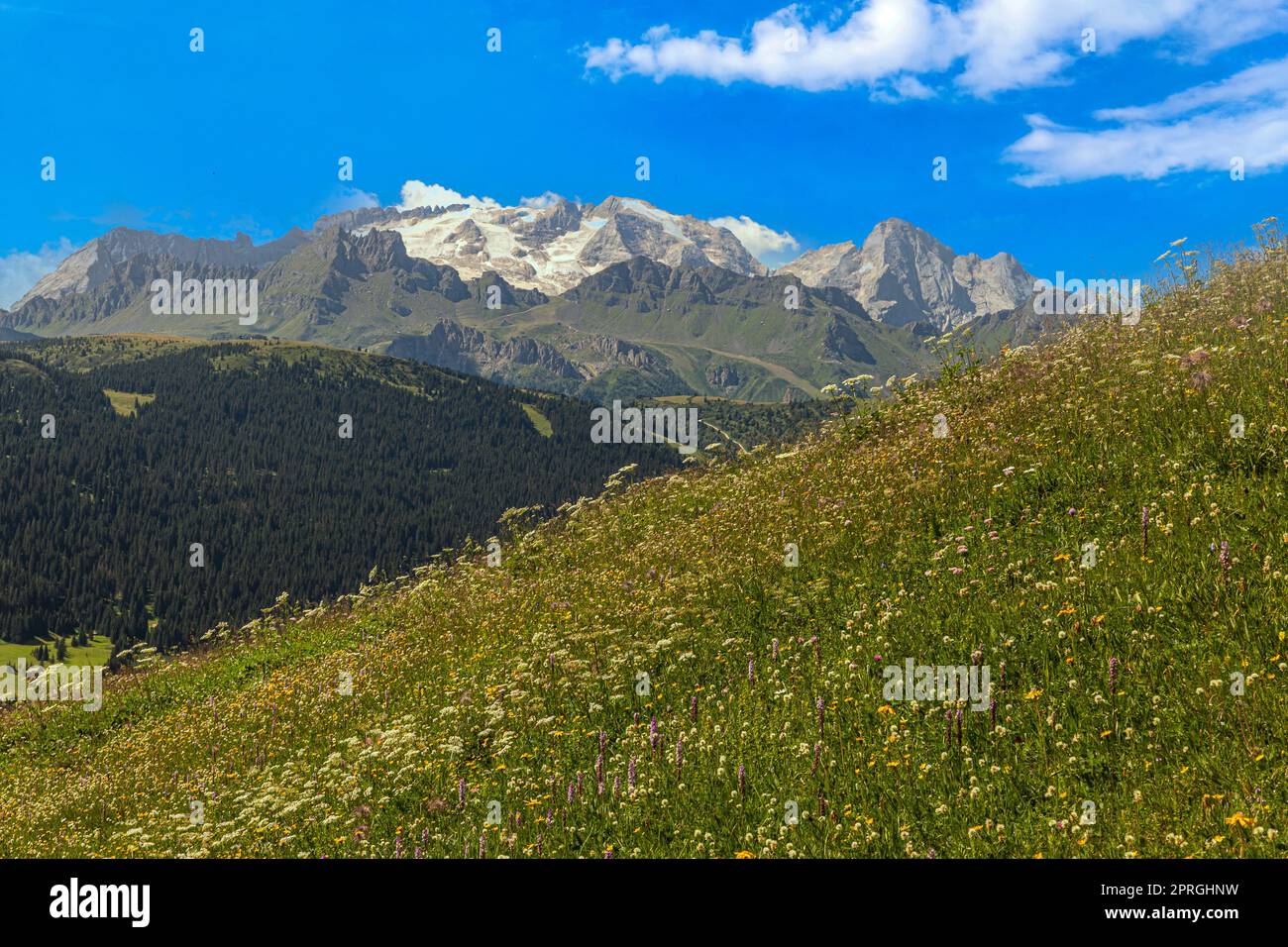 Dolomiti Alps in Alta Badia landscape amd peaks view, Trentino Alto ...