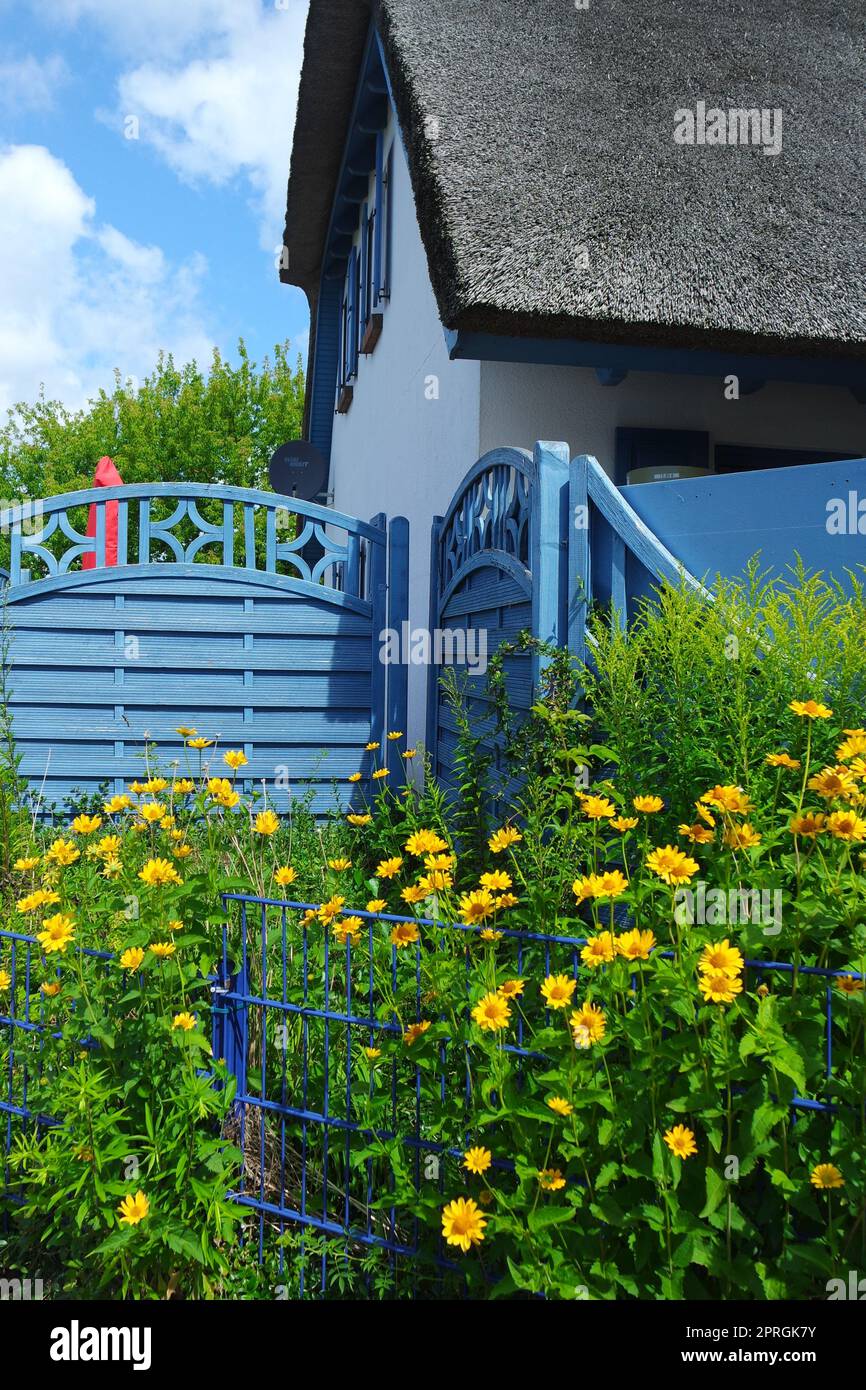 Summer on the island of poel hi-res stock photography and images - Alamy