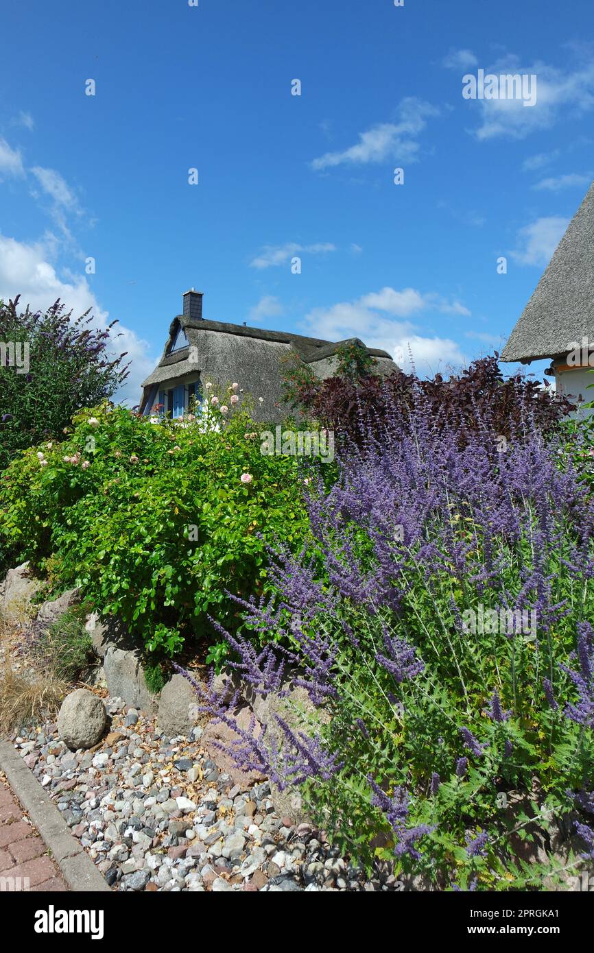 Insel poel hi-res stock photography and images - Alamy