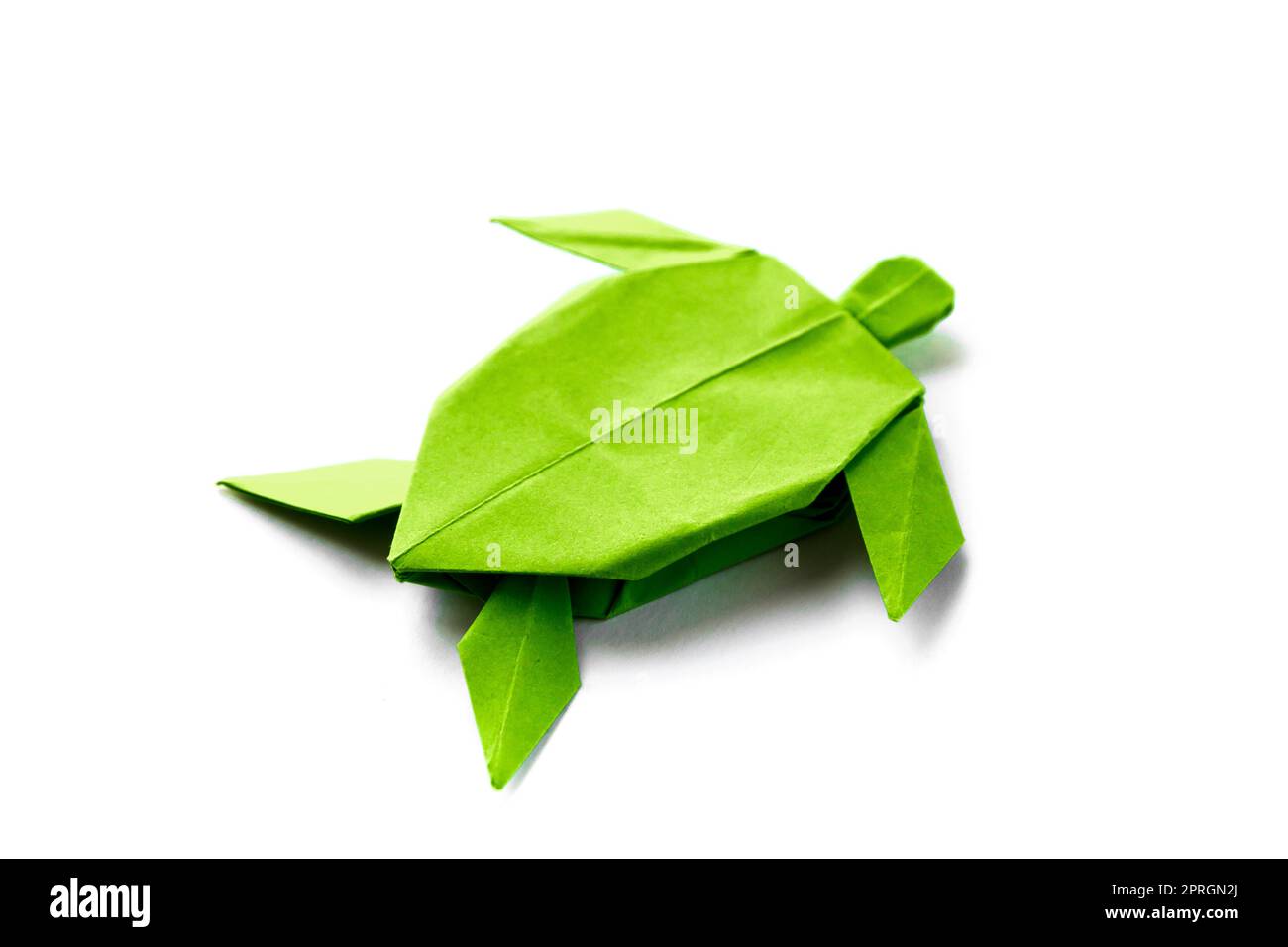 Green paper turtle origami isolated on a blank white background Stock ...