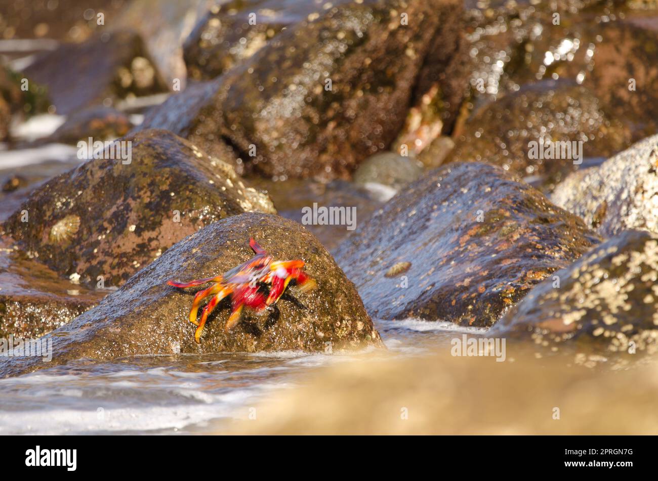 Jumping rock hi-res stock photography and images - Alamy