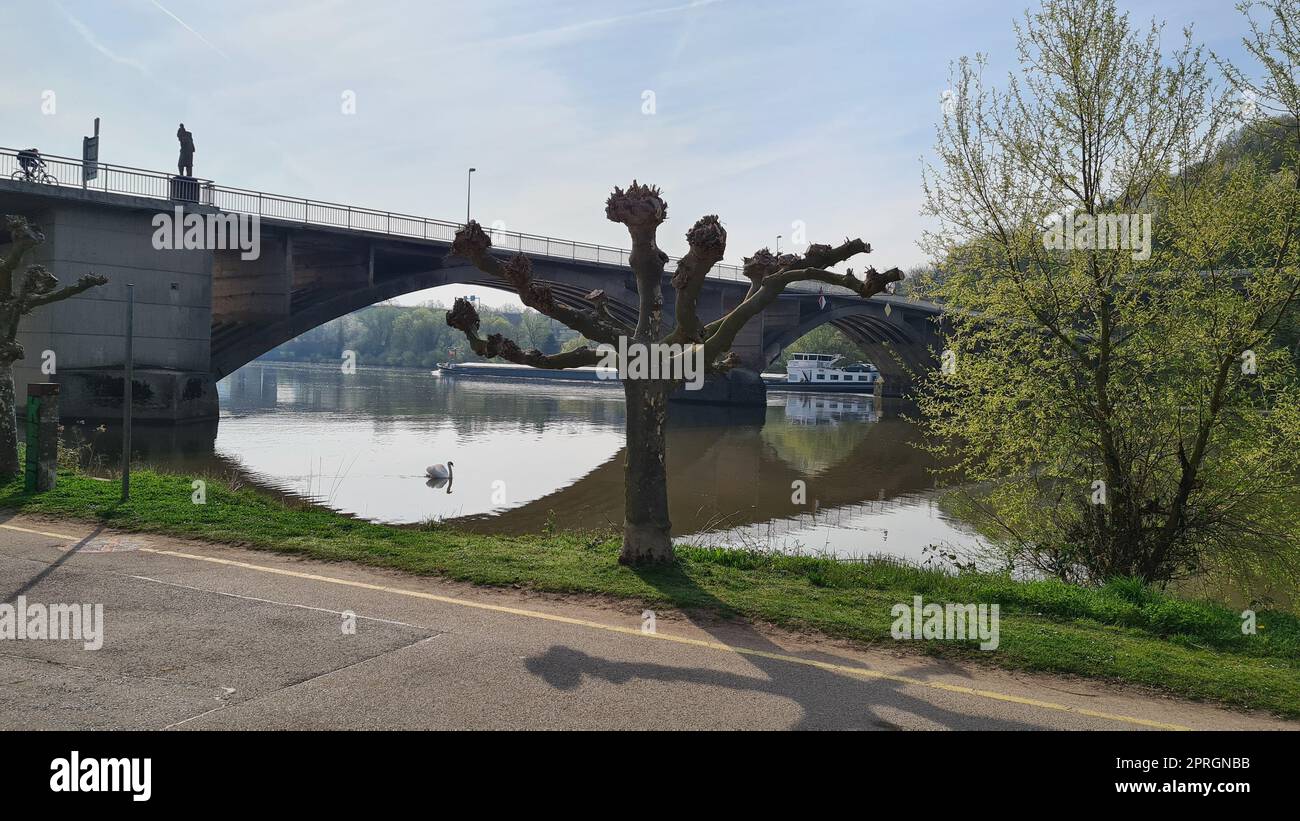 Schweich an der Mosel, a village in Germany, in the background the ...