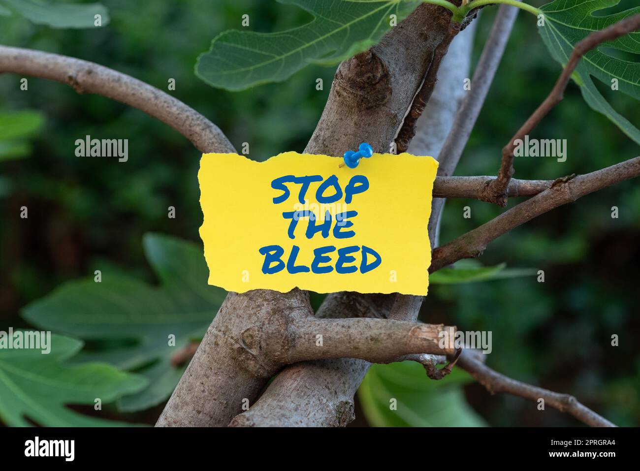 Stop the bleed hi-res stock photography and images - Alamy