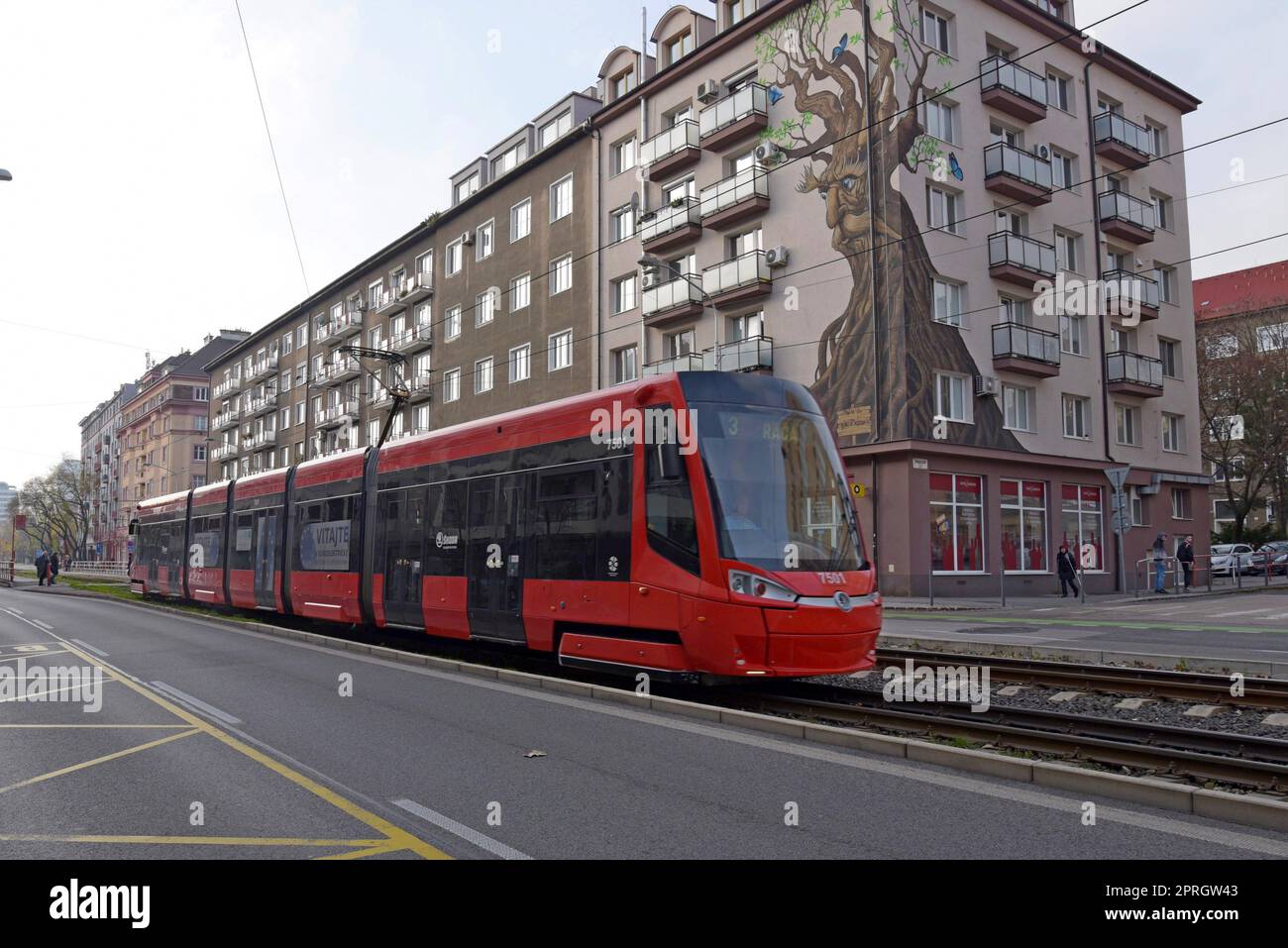 Electric trams on the extensive tram network in the city of Bratislava ...