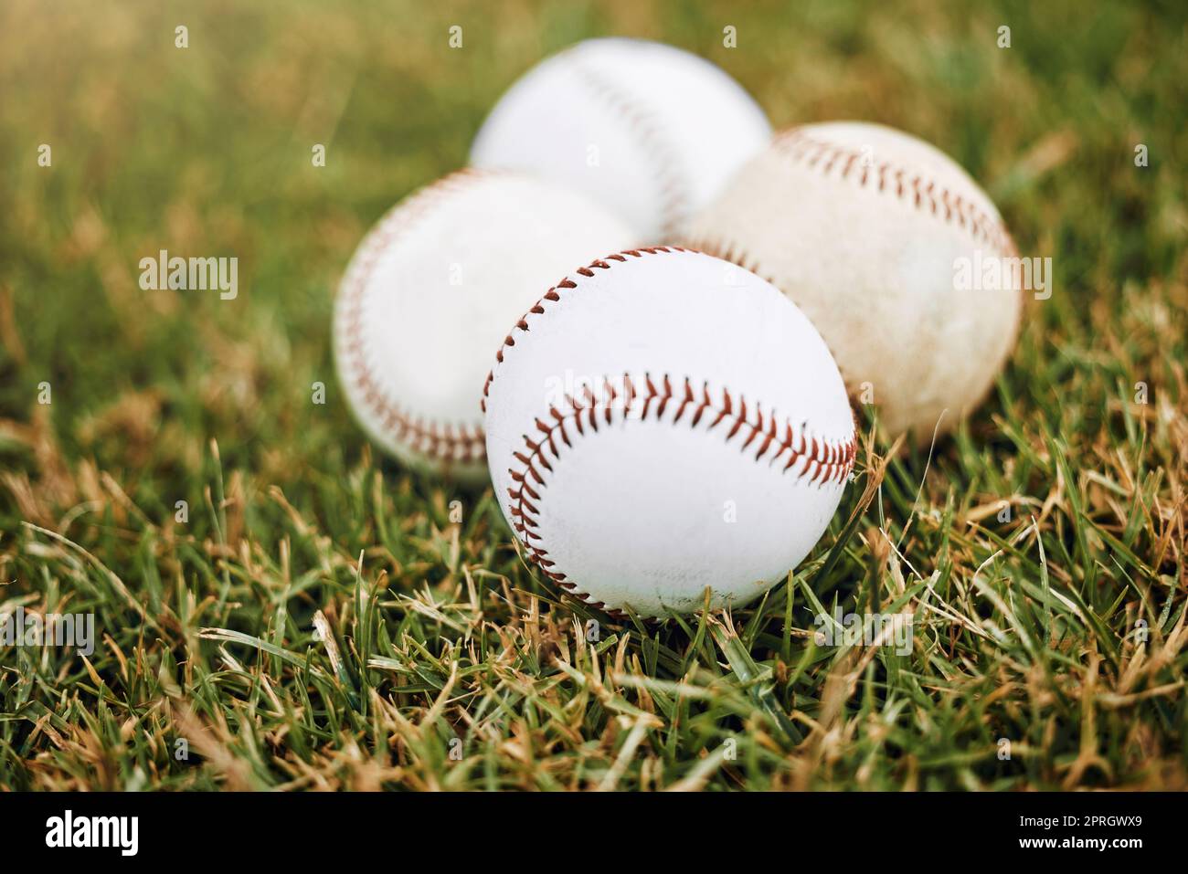 Softball Field Grass