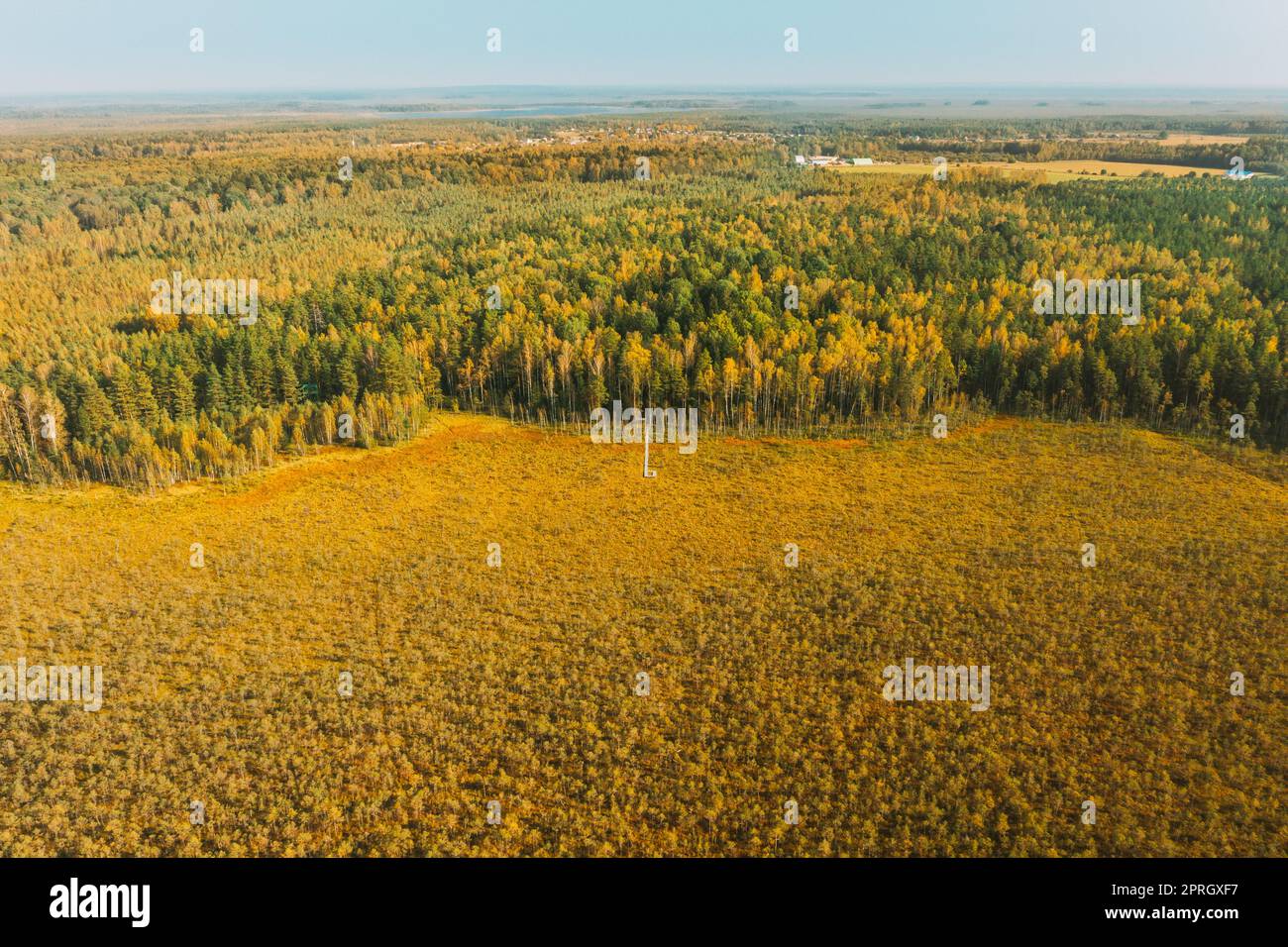 Belarus, Berezinsky Biosphere Reserve. Aerial Bird's-eye View Of Wooden ...
