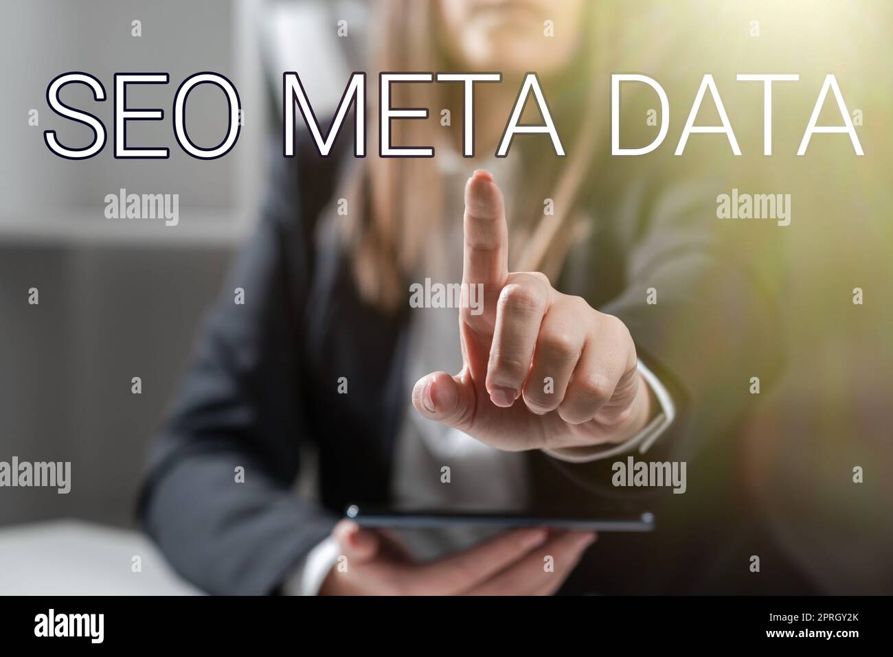 Text caption presenting Seo Meta Data. Business concept Search Engine ... Text caption presenting Seo Meta Data. Business concept Search Engine ...