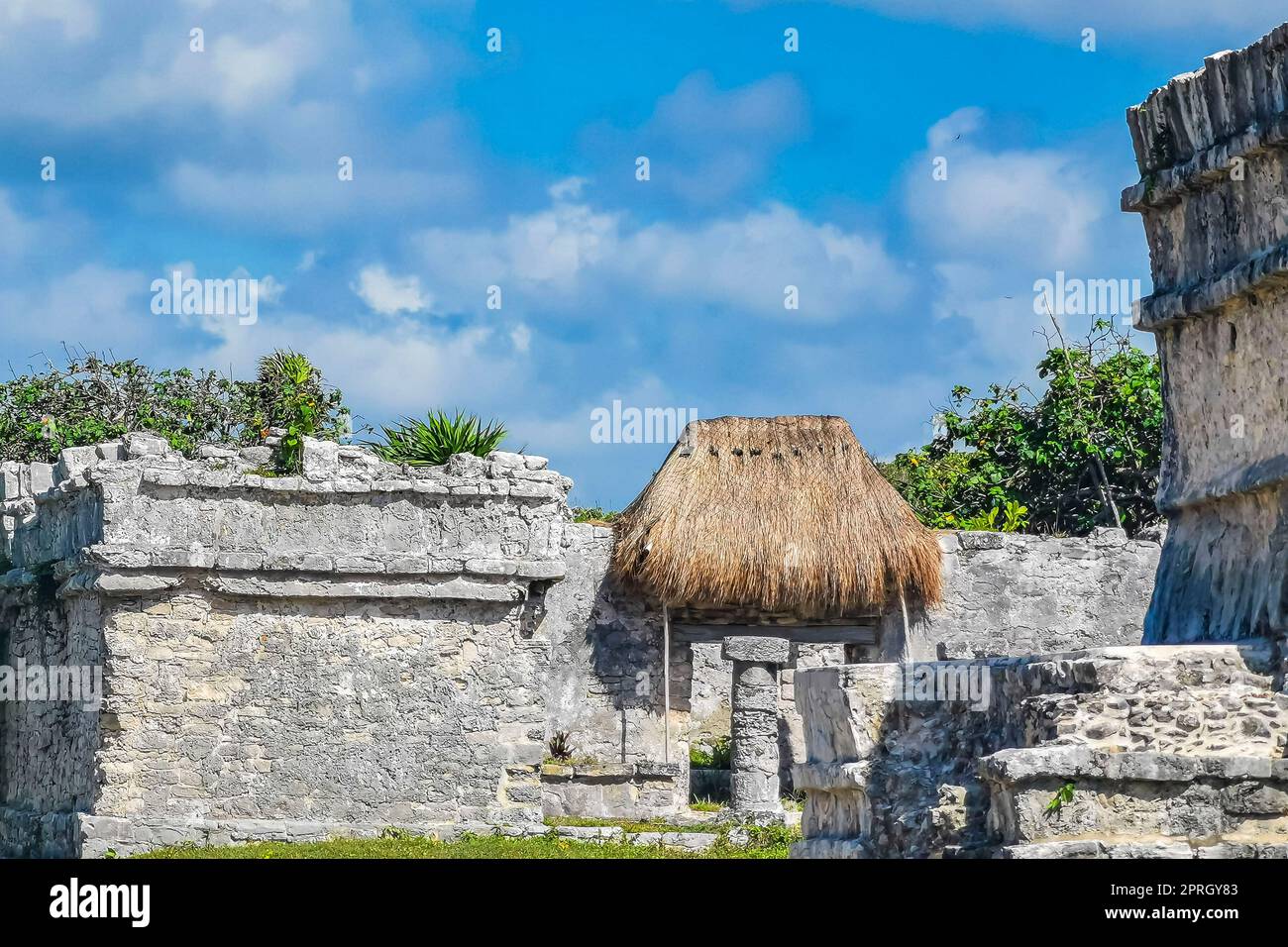Ancient Tulum ruins Mayan site temple pyramids artifacts seascape ...