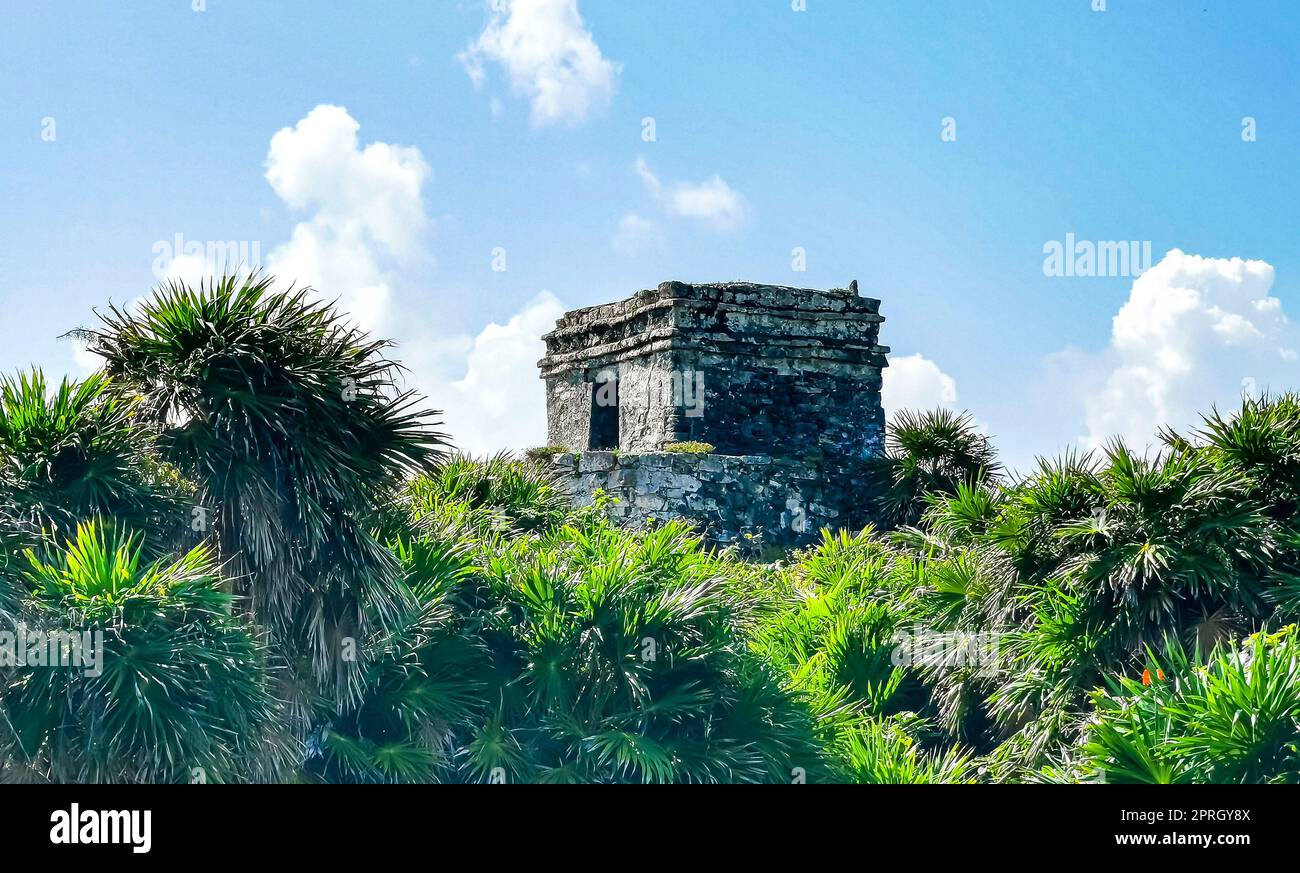 Ancient Tulum ruins Mayan site temple pyramids artifacts seascape ...