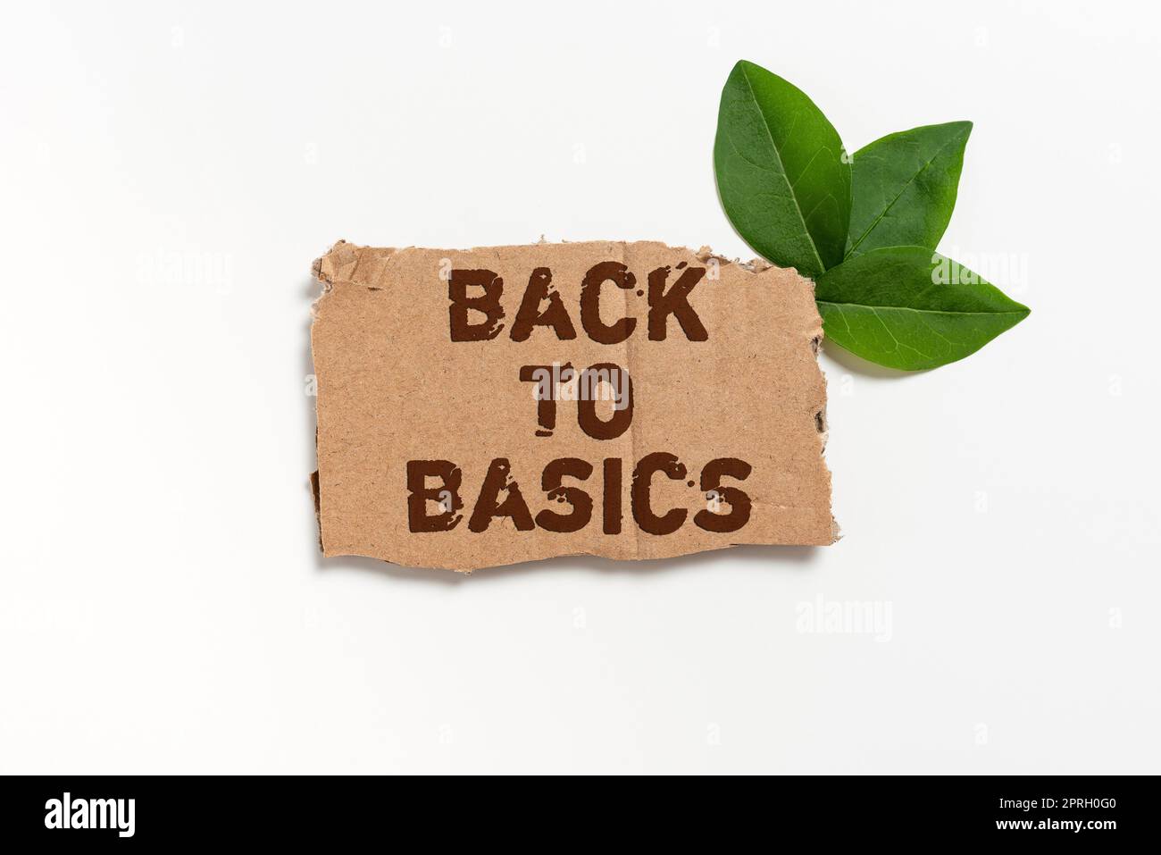 Inspiration showing sign Back To Basics. Business overview Return ...