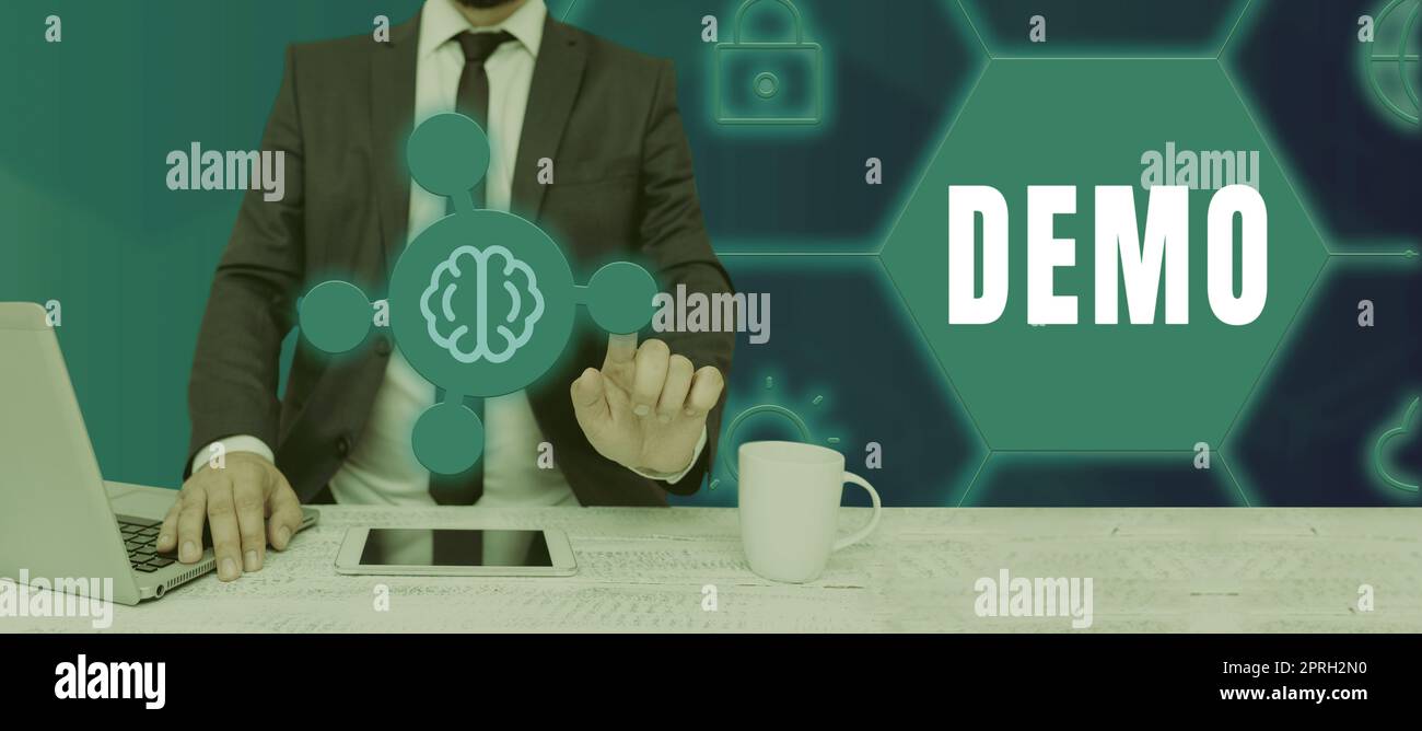Text caption presenting Demo, Business overview exemplification display ...