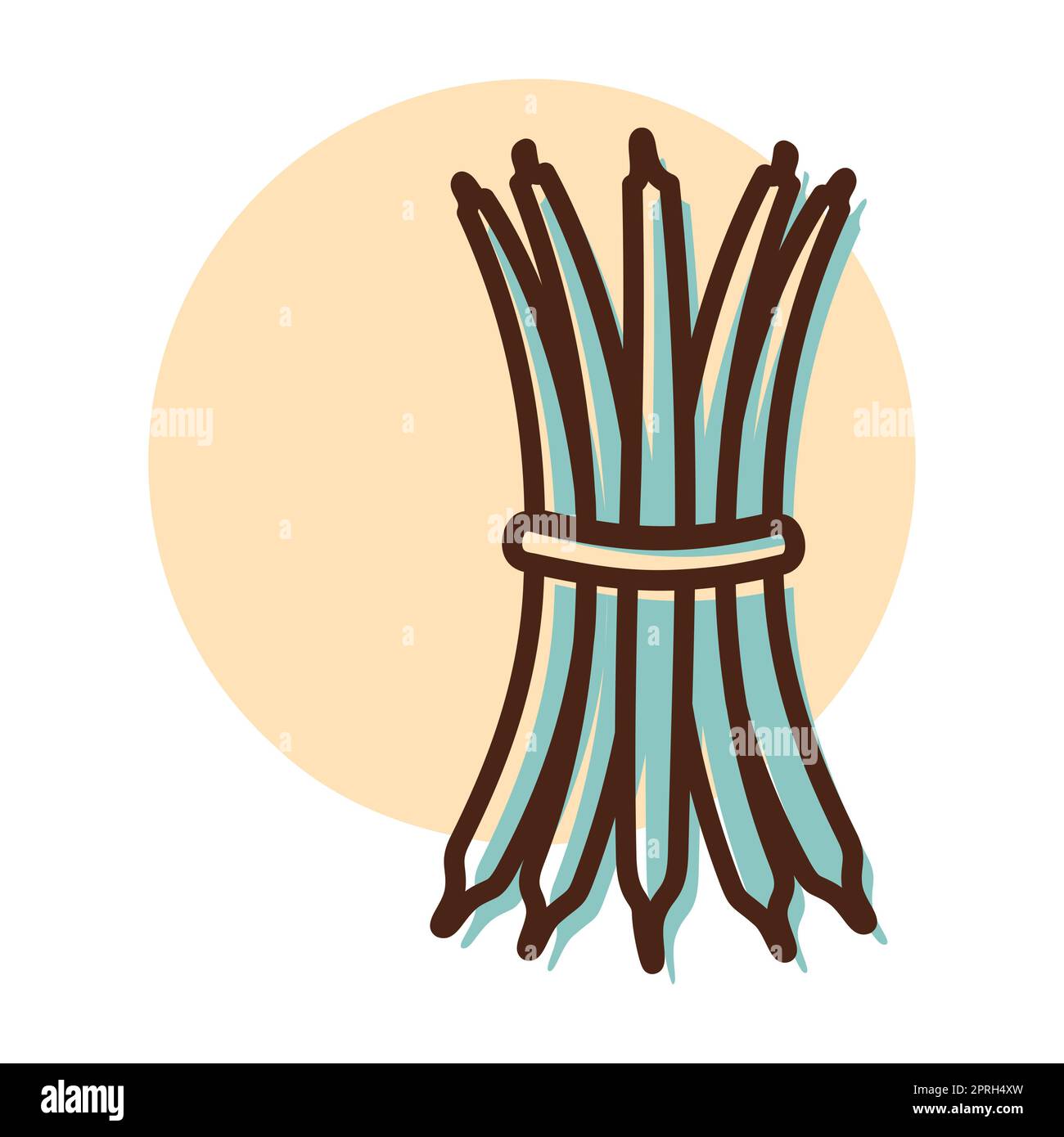 Green beans bound sheaf isolated vector icon. Vegetable sign. Graph ...