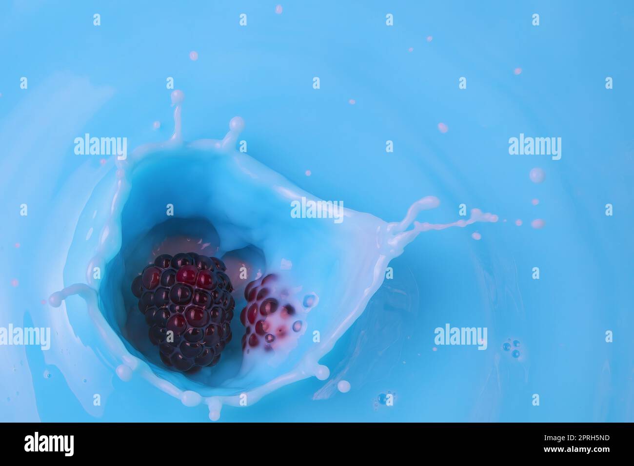 blackberries splashing into milk or yogurt splashing blue food fruit ...