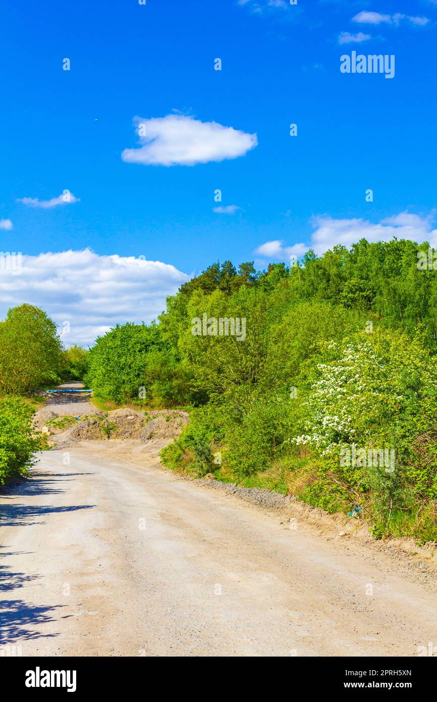 North German agricultural field forest trees nature landscape panorama ...