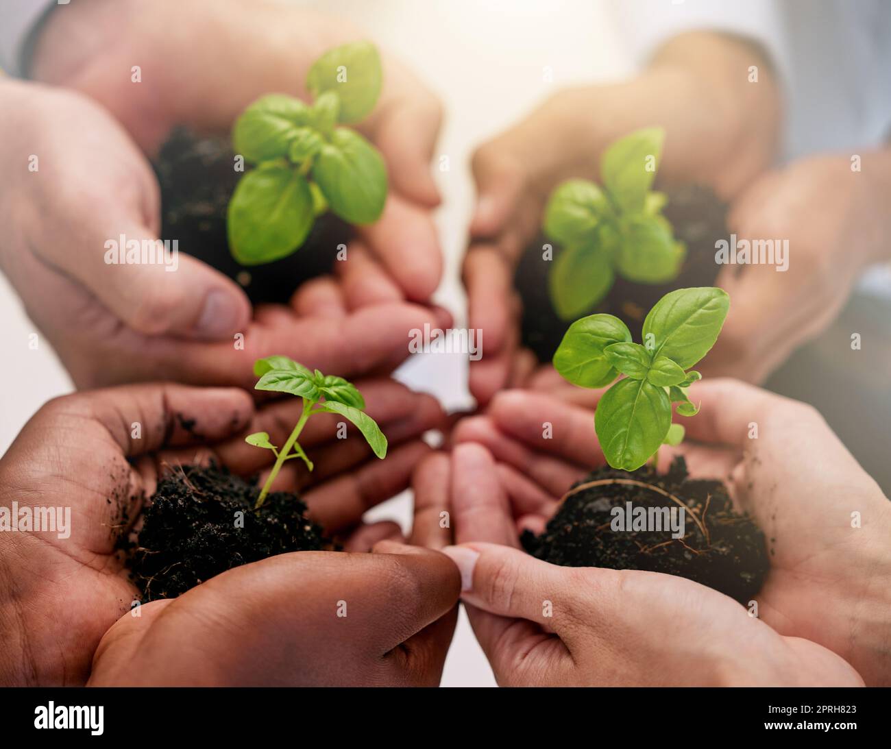 People Planting Seeds