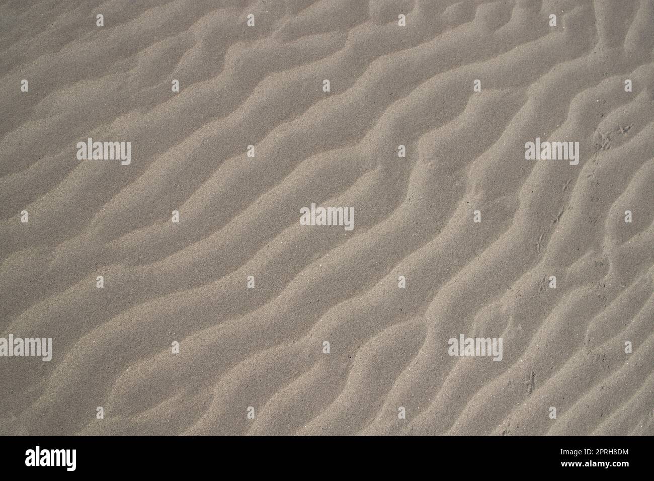 sand texture. wavy sand textured background. sand textured beach Stock ...