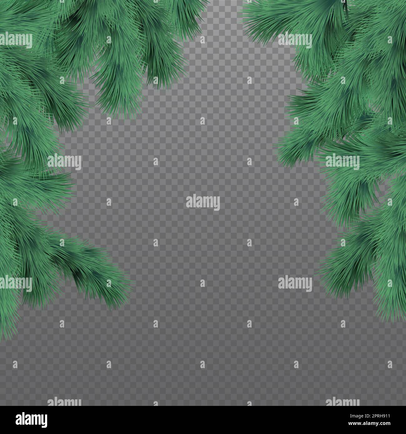 New Year Christmas background, festive fir tree, web template without ...