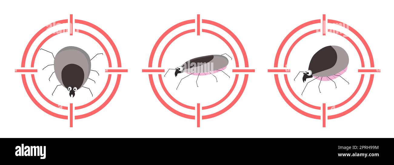 Tick parasite. Blood sucking insect. Insecticide. Peddlers of infection ...